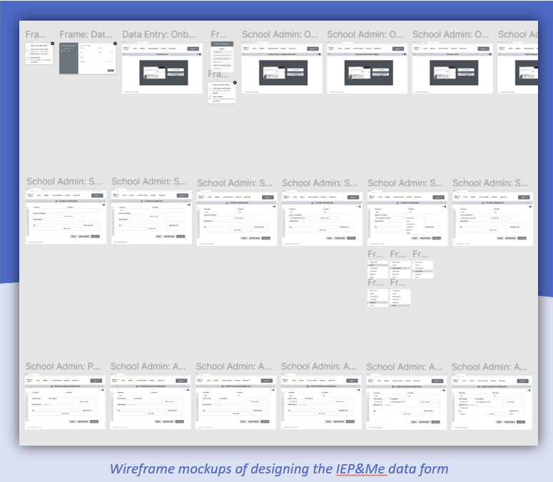 IEP&Me – Data Entry Form – Annette Lee's Portfolio